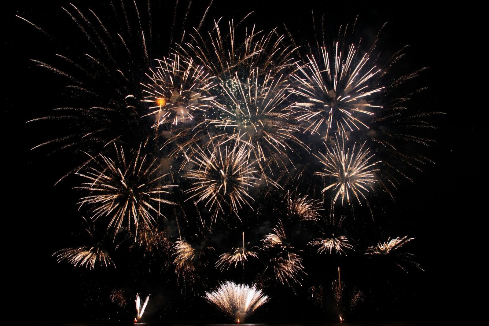 Minneapolis January Events Guide 2026 | Zesty Dates